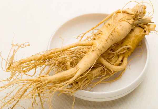 How to Effectively Choose the Real Ginseng Extract? - HerbMountain