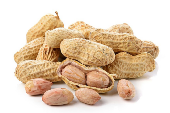 7 Absolutely Mysterious luteolin Benefits - HerbMountain