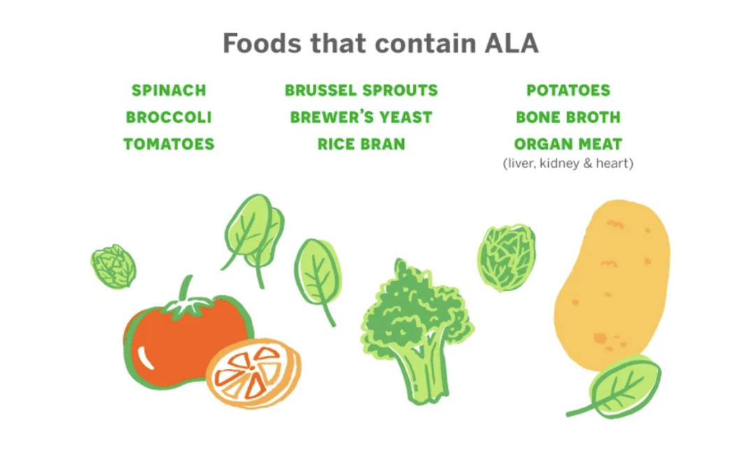 How to lose weight with alpha lipoic acid - HerbMountain