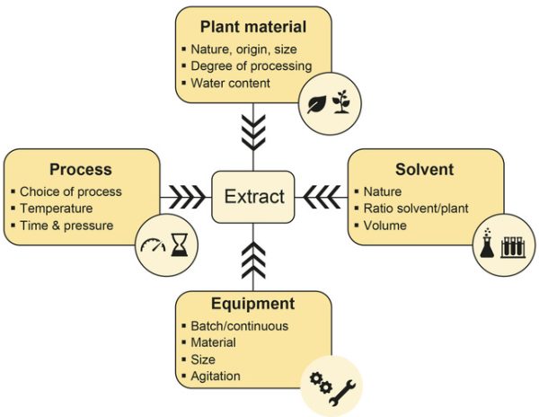 5 Common Extraction Methods of Herbal Extracts - HerbMountain